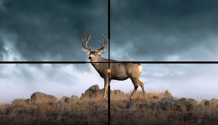 Rangefinder and Riflescope Systems Now Available | SIG SAUER