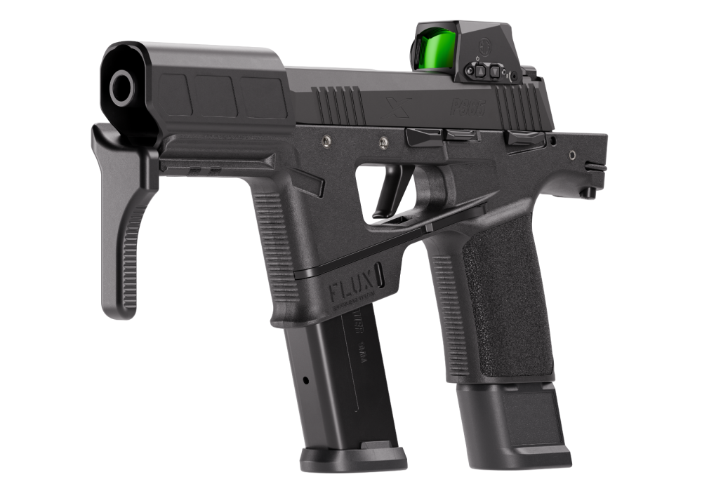 365FLUX-9-BXR3-RXSL FLUX SIG SAUER 365 - Semi Auto Pistols at GunBroker ...