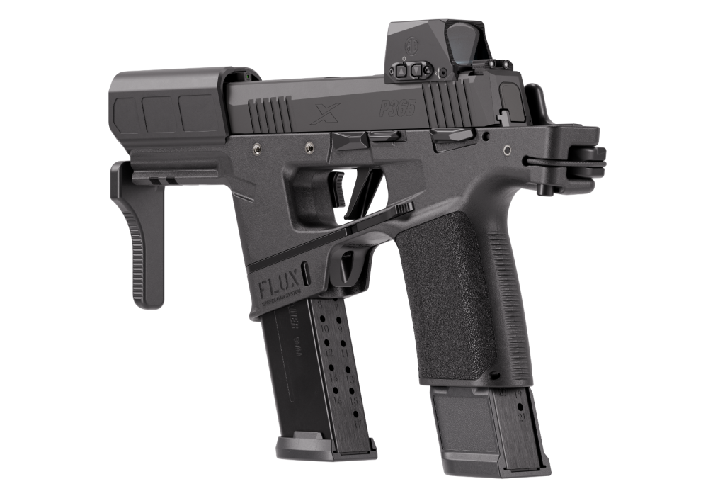 365FLUX-9-BXR3-RXSL FLUX SIG SAUER 365 - Semi Auto Pistols at GunBroker ...
