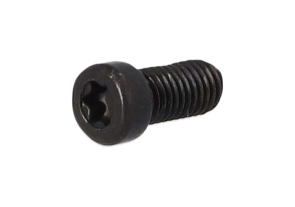 ALPHA 2 RING CAP SCREWS QTY (1)