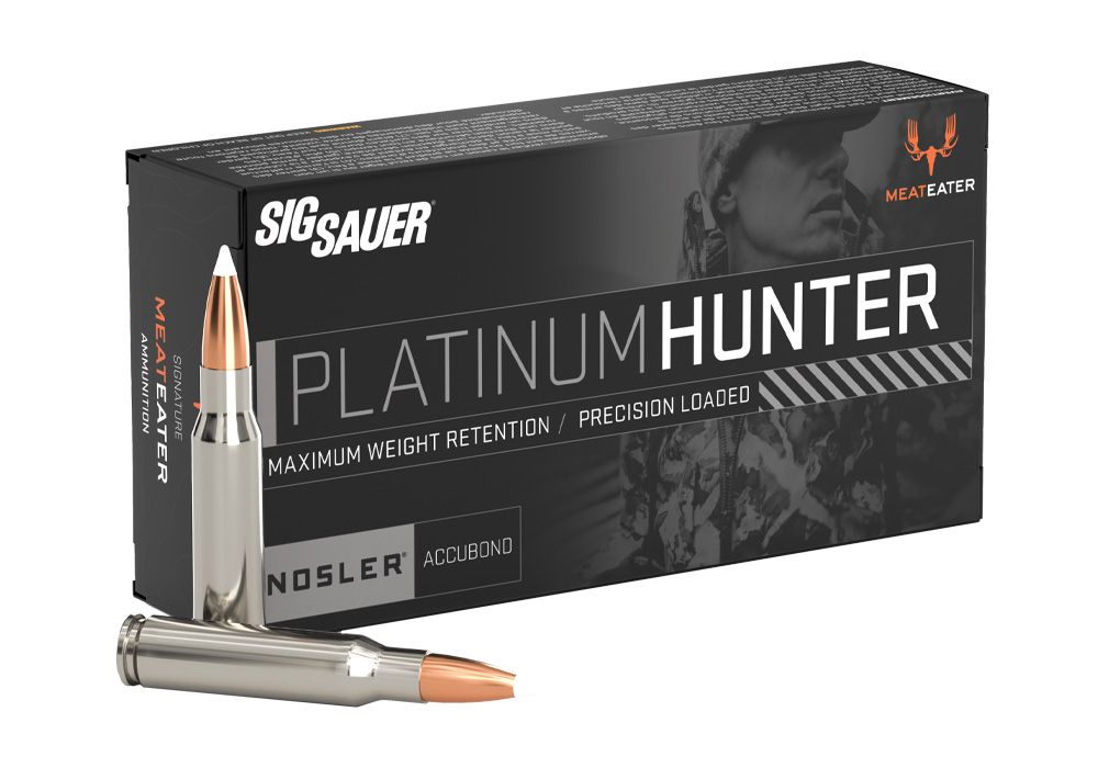 308 WIN, 165GR, PLATINUM HUNTER