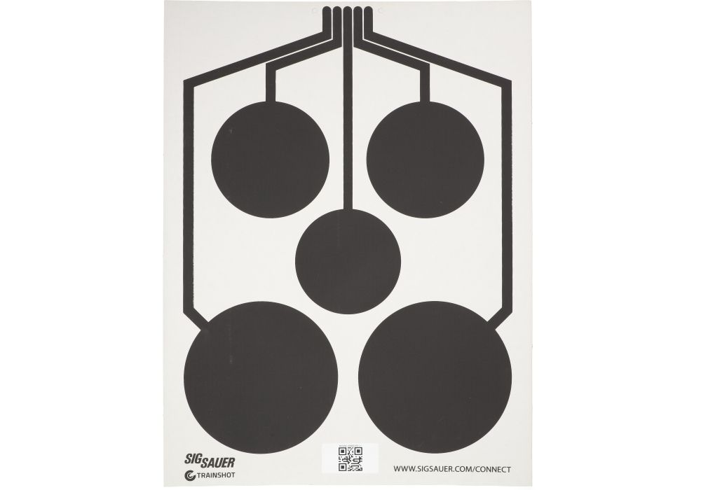 T300 (MULTI ZONE) TARGETS 5 PACK