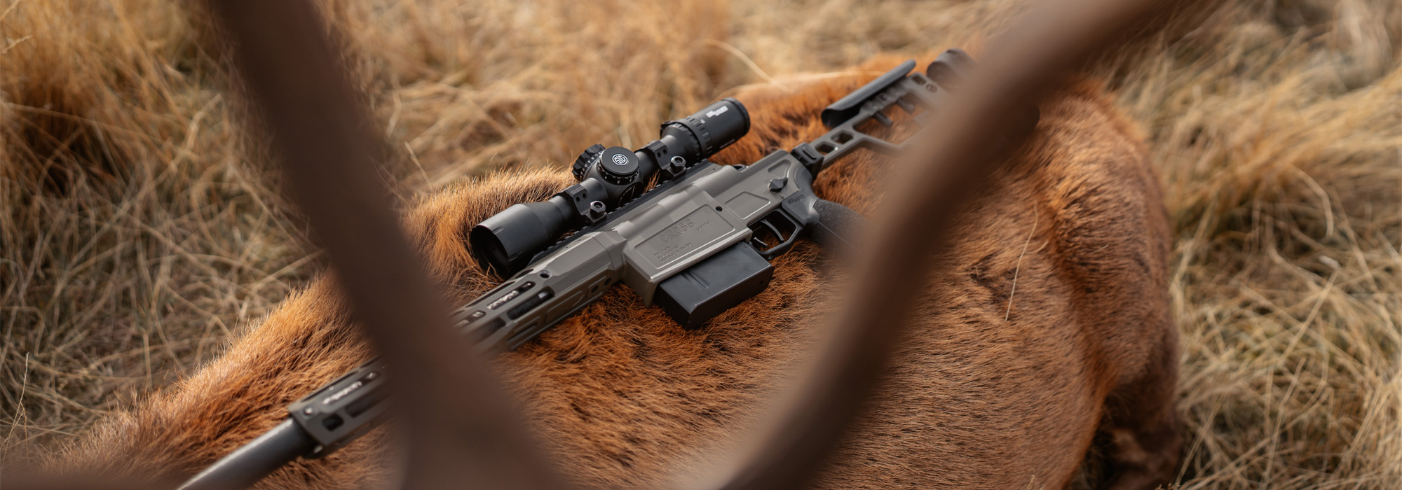 CROSS-MAGNUM SAWTOOTH