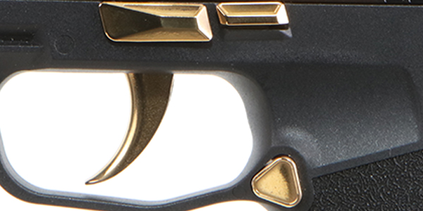 ONE MILLIONTH P365 - Custom Works | SIG SAUER