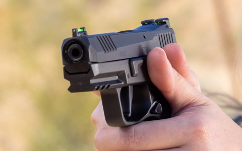 21 Reasons to Love P322