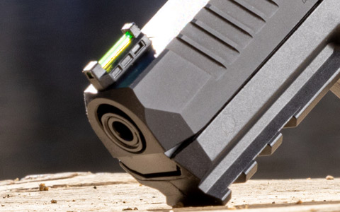 21 Reasons to Love P322