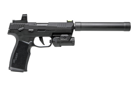 21 Reasons to Love P322