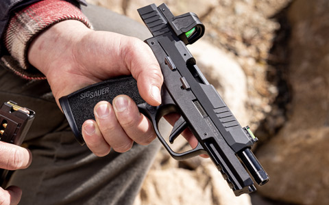 21 Reasons to Love P322